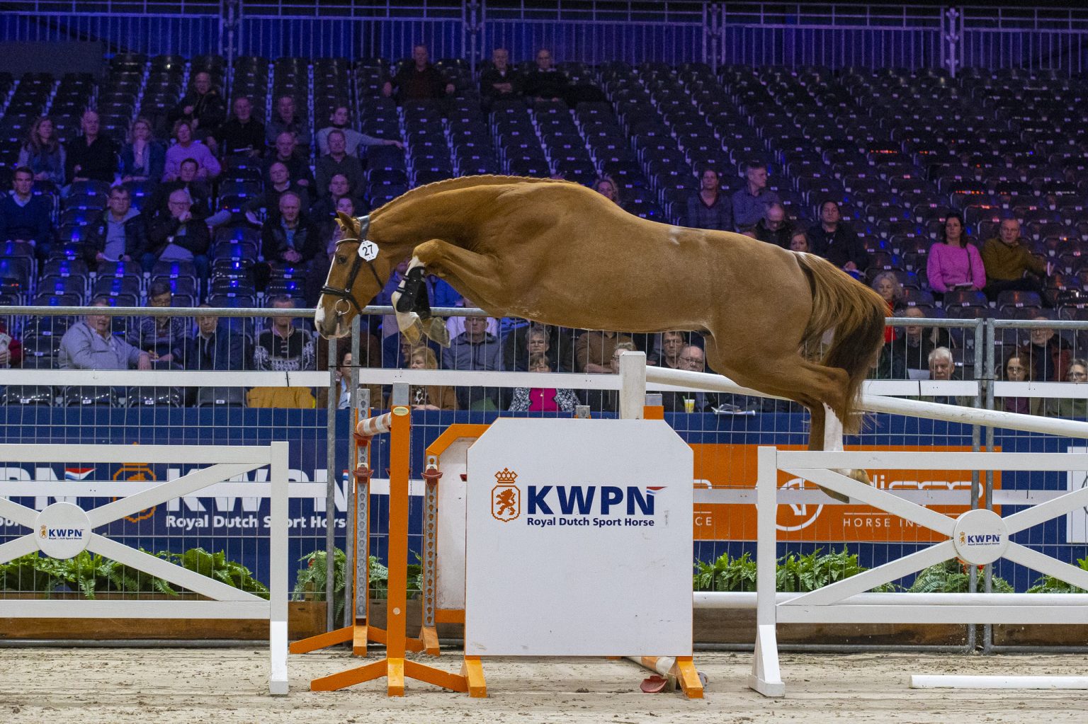 KWPN Stallion Show: Day two of second round viewing jumping stallions ...